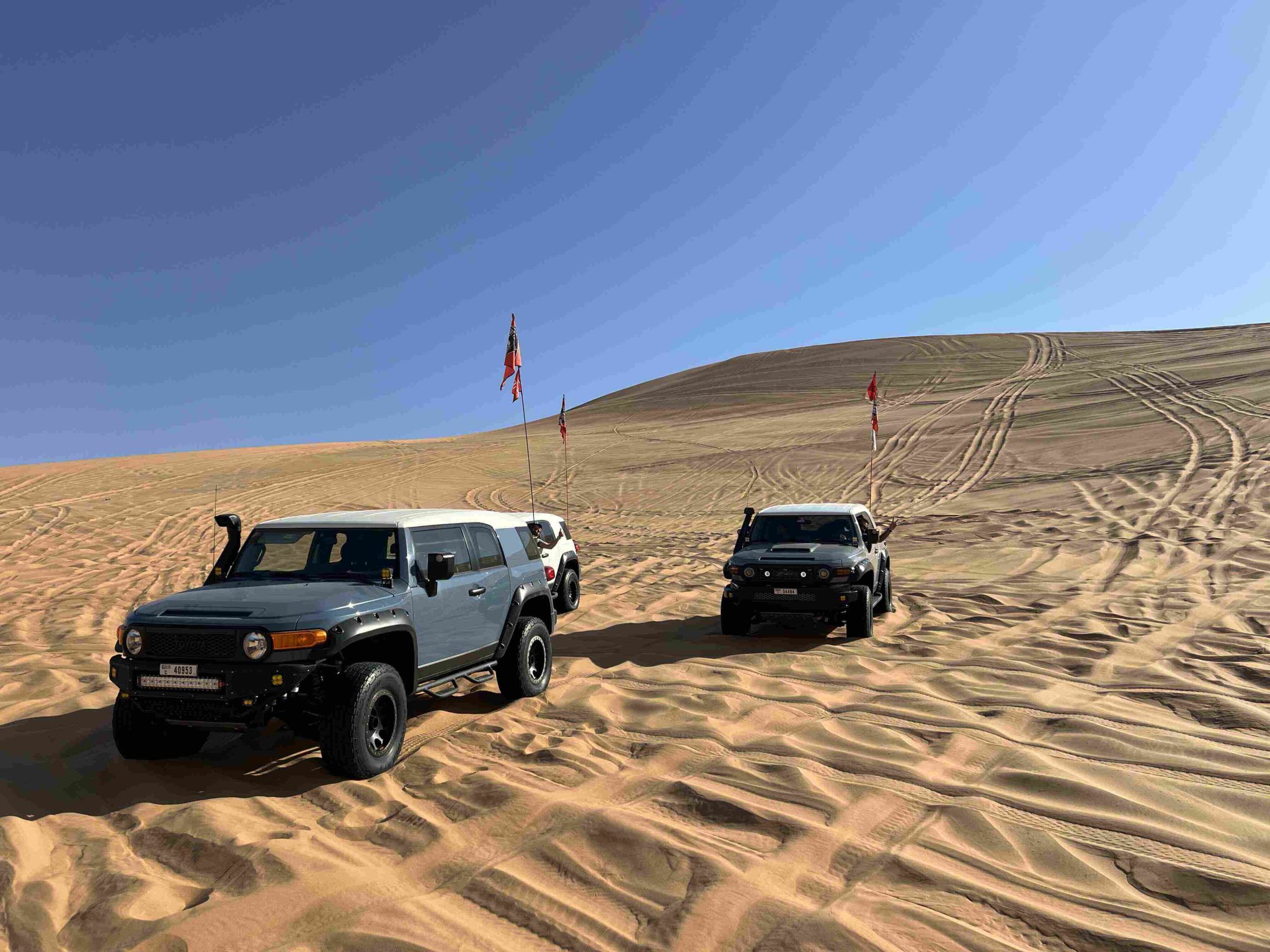 Into the wild • Desert Fellas Off-Road